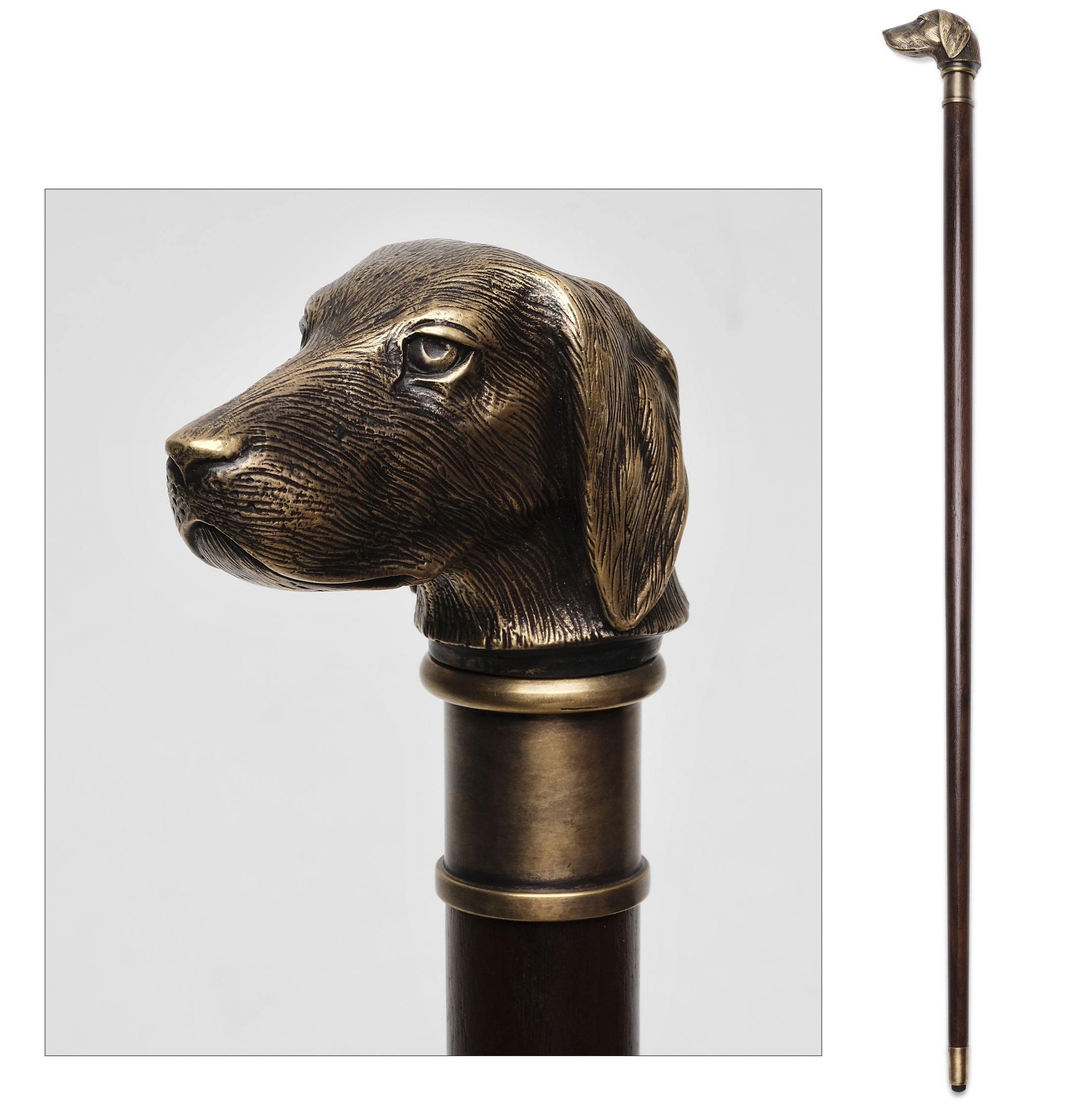 Dog Walking Stick (SH41-081416)